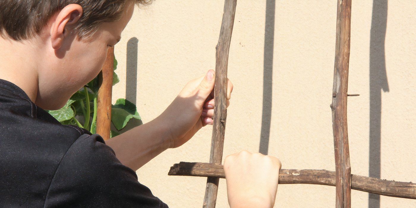 Use Tree Branches to Build a DIY Trellis