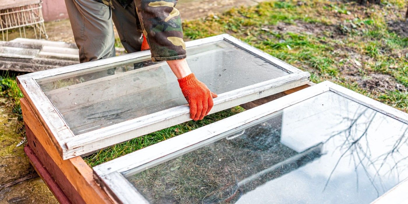 How to Get Started With Urban Homesteading