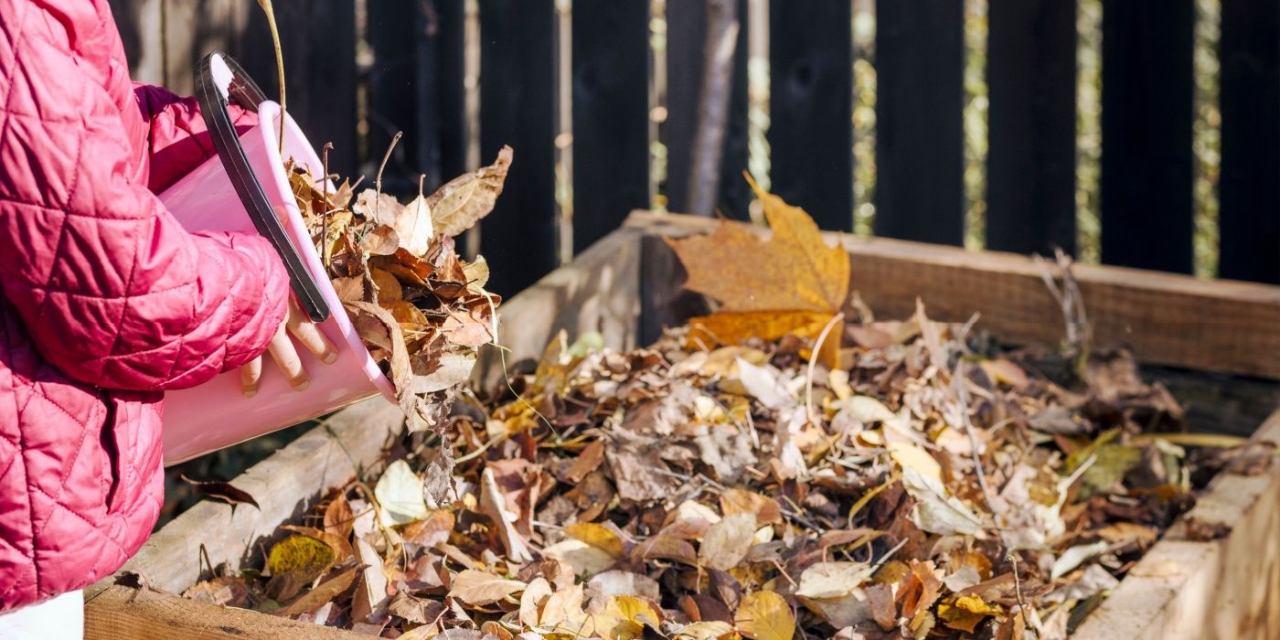 5 Kid-Friendly Eco Projects to Transform Your Backyard