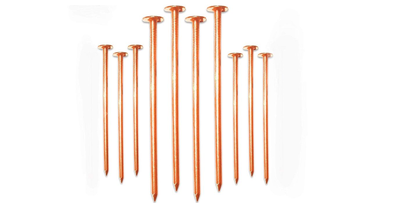 Find the Best Way to Get Rid of Tree Stumps