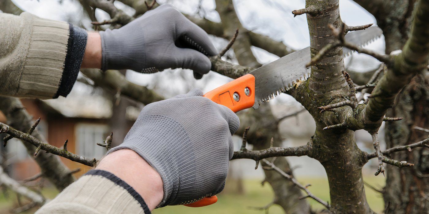 Use Tree Branches to Build a DIY Trellis