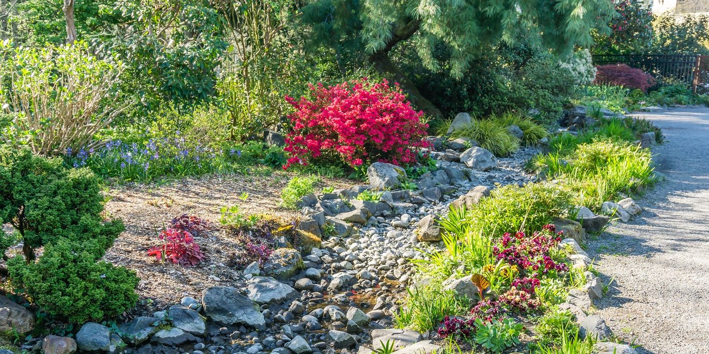 DIY Dry Creek Bed: The Feature Your Yard Needs