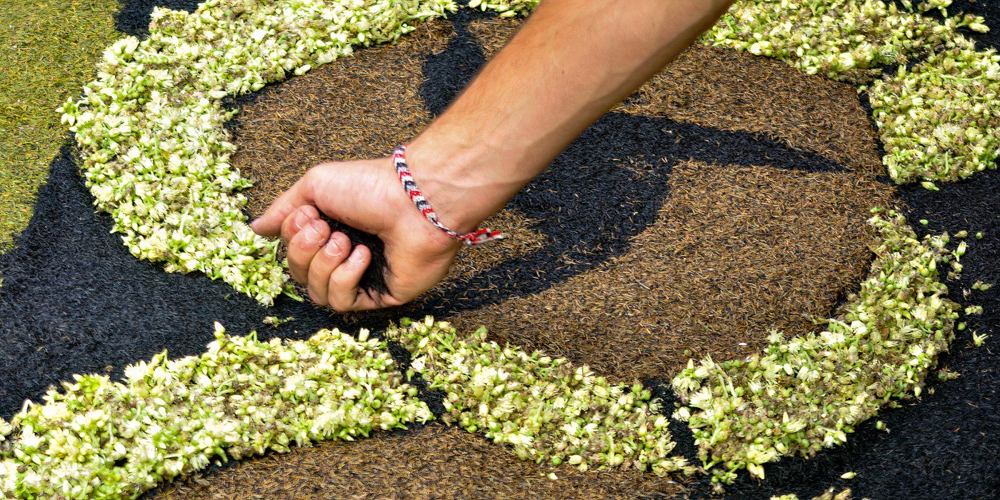 Natural Wonder: Transforming Leaves Into Art