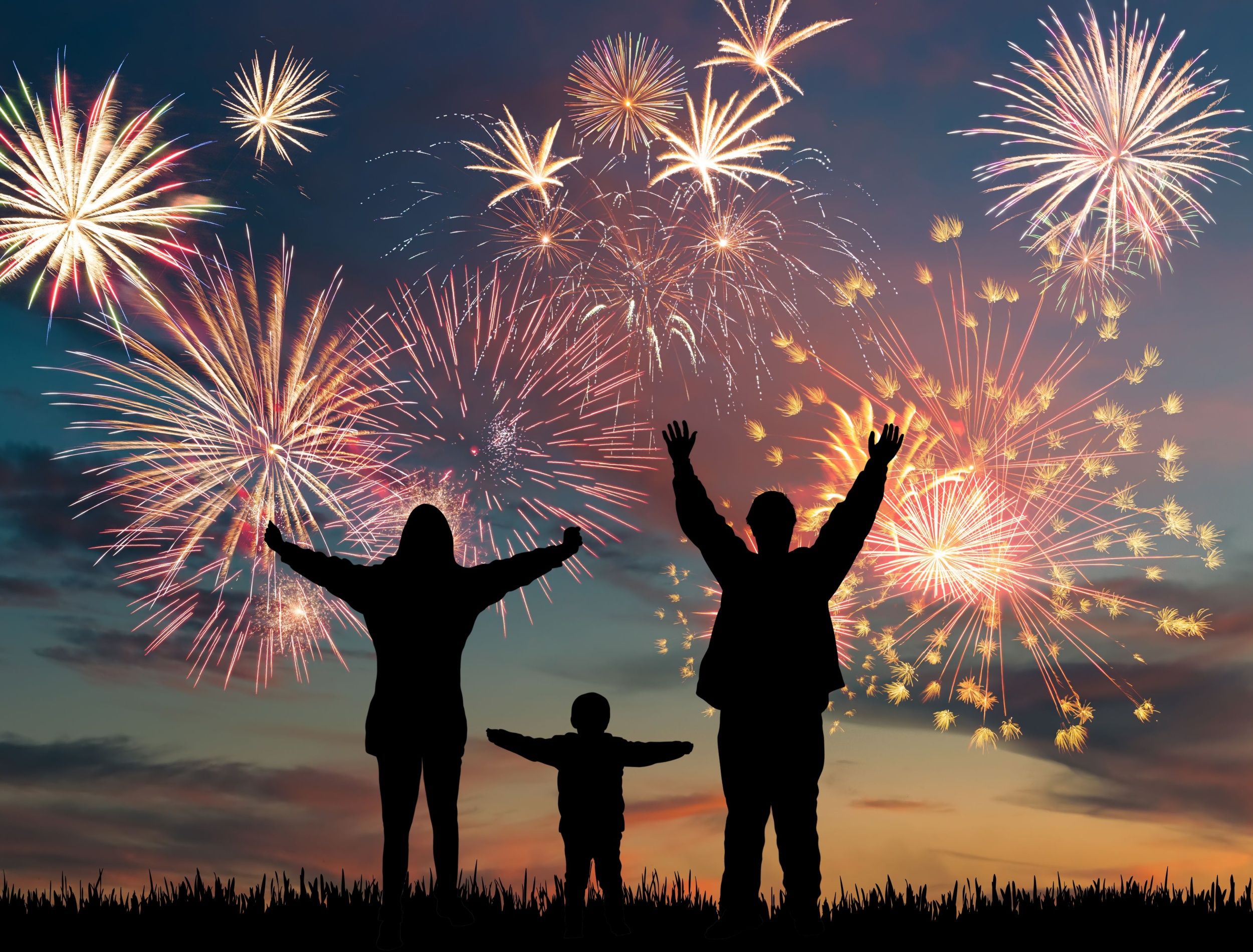 Prevent Firework Damage to Your Landscape on the 4th of July