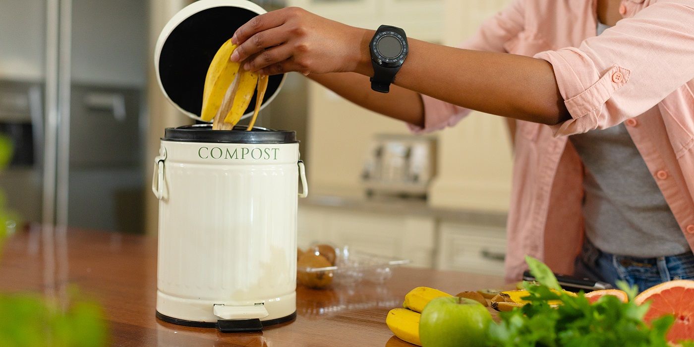 Get the Best Composter For Your Yard