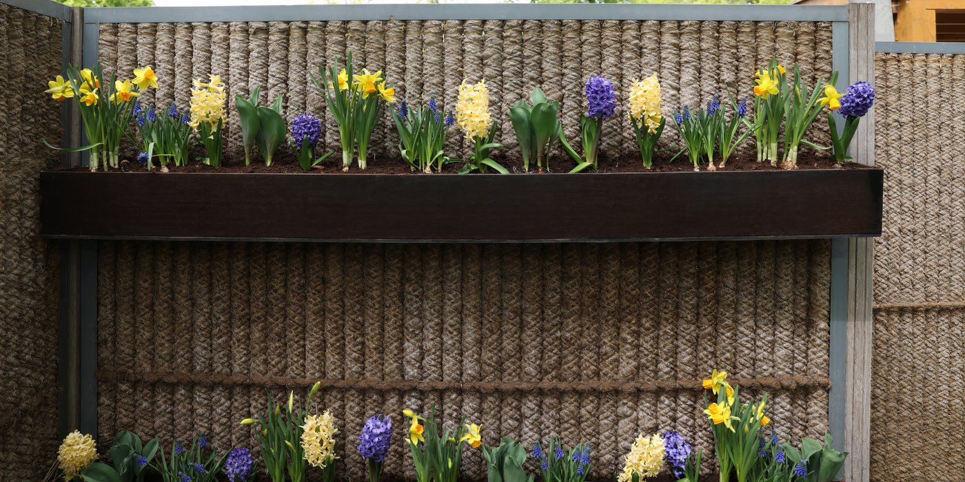 Railing Planters: Use 5 Ideas for Fence Planters To Spruce Up Your Yard