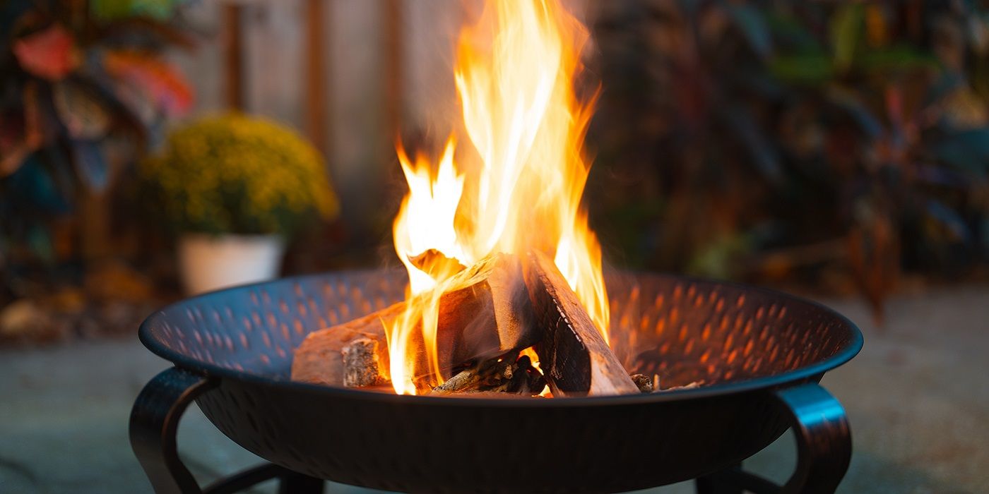 Is Elm a Good Fireplace Wood?