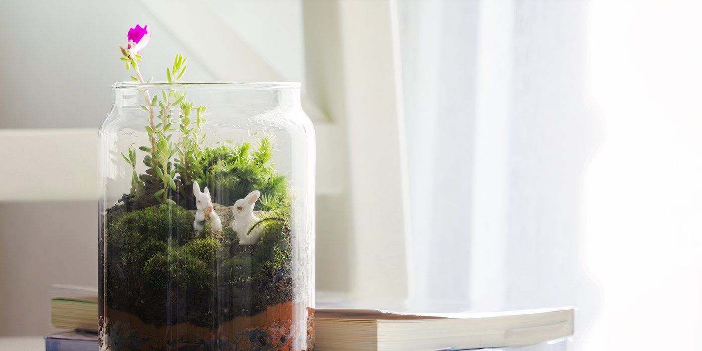 Create a Bottle Garden: 5 Minimalist Garden Ideas