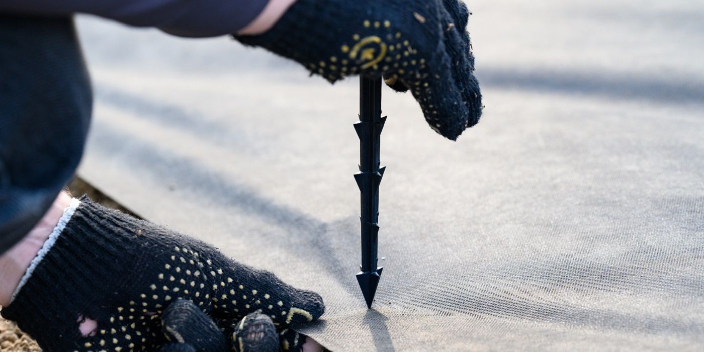 How to Anchor a Backyard Swing Set