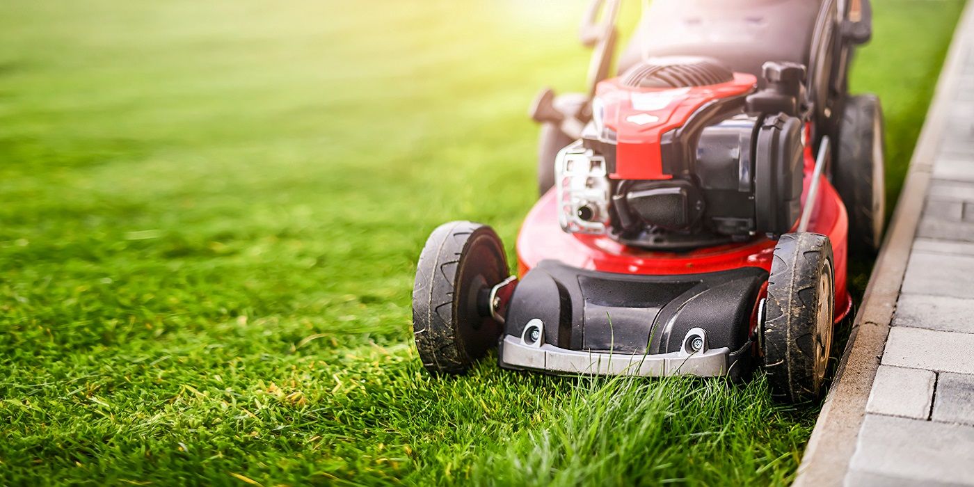 Find the Best Toro Lawnmower For Your Yard