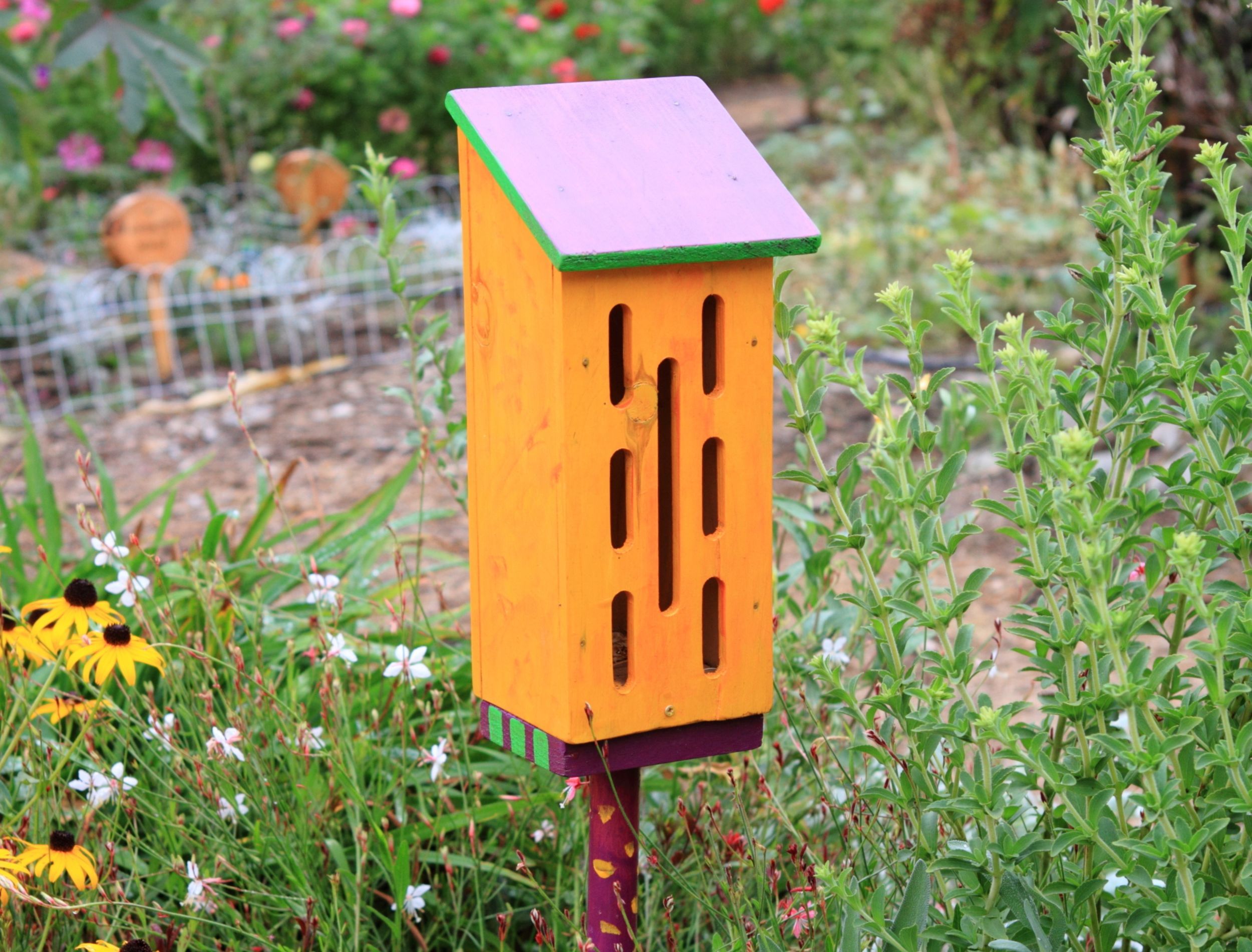 Learn How to Design and Build a Butterfly House