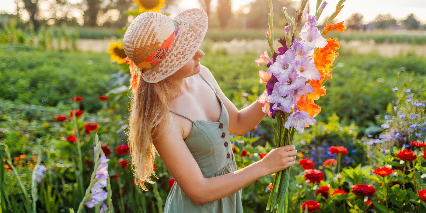 Growing Gladiolus: The Flowers That Connect to Ancient Rome and Gladiators