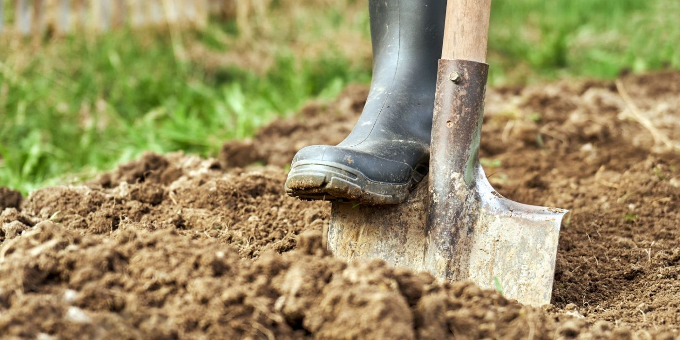 Do You Have Silt Soil in Your Garden?