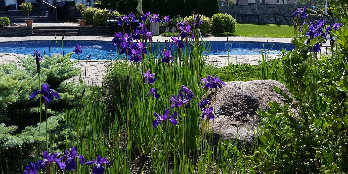 Pool Landscaping Themes You'll Love