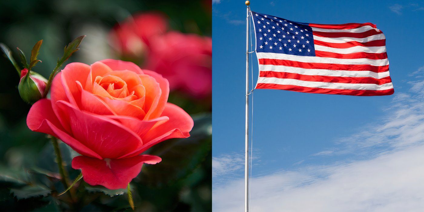 National Flowers: Create a Garden Worthy of the Olympics