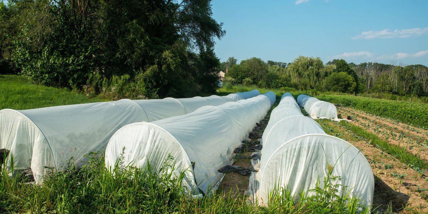 7 Proven Methods to Extend Your Garden Harvest into the Late Summer