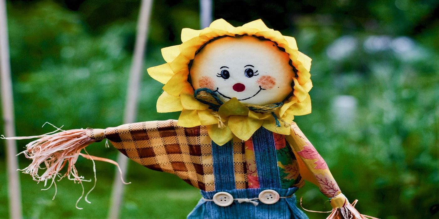 How to Build a DIY Scarecrow