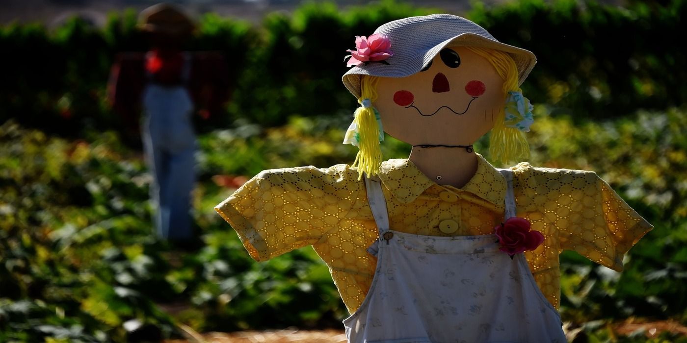 How to Build a DIY Scarecrow