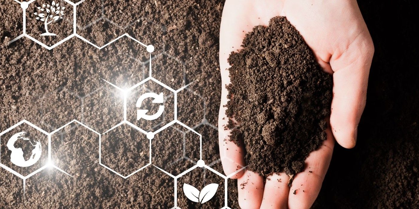 Boost Your Garden Soil by Learning About Smart Soil