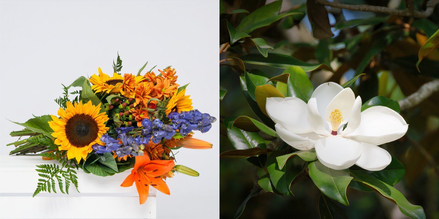 See the Victory Bouquets Awarded at Current and Past Olympics