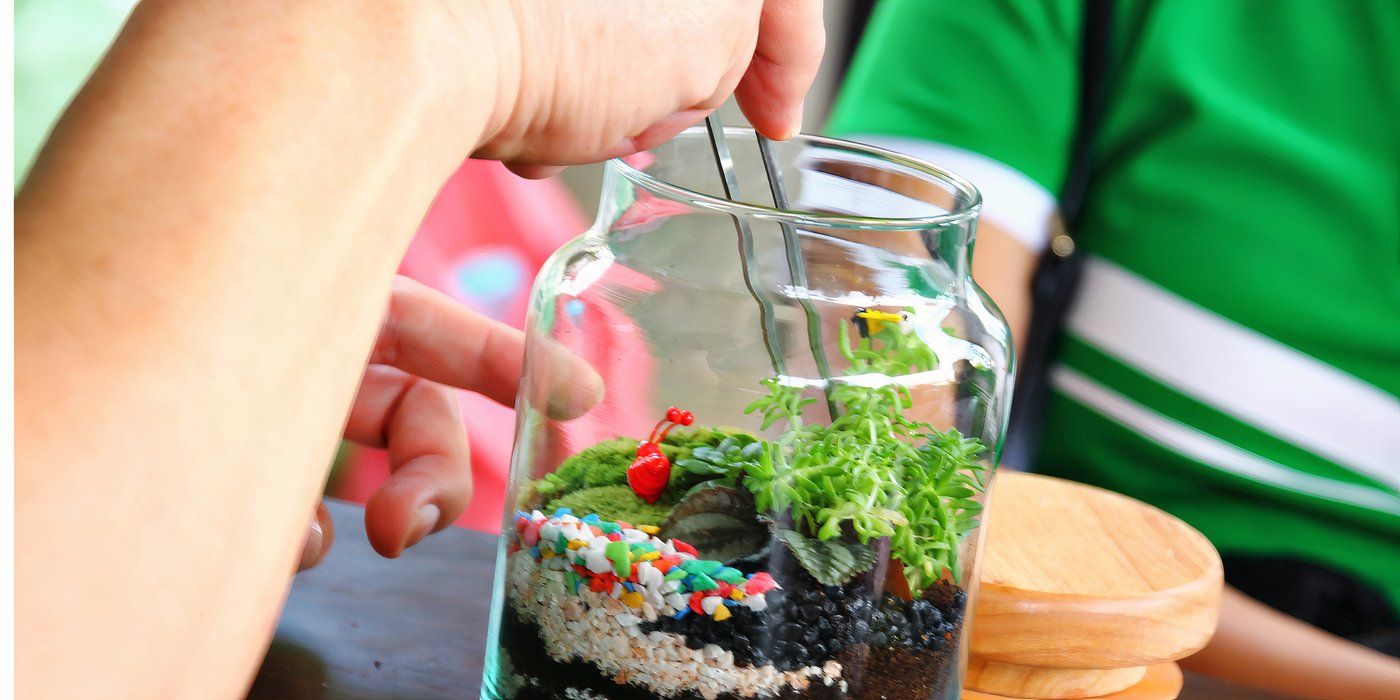 Create a Bottle Garden: 5 Minimalist Garden Ideas