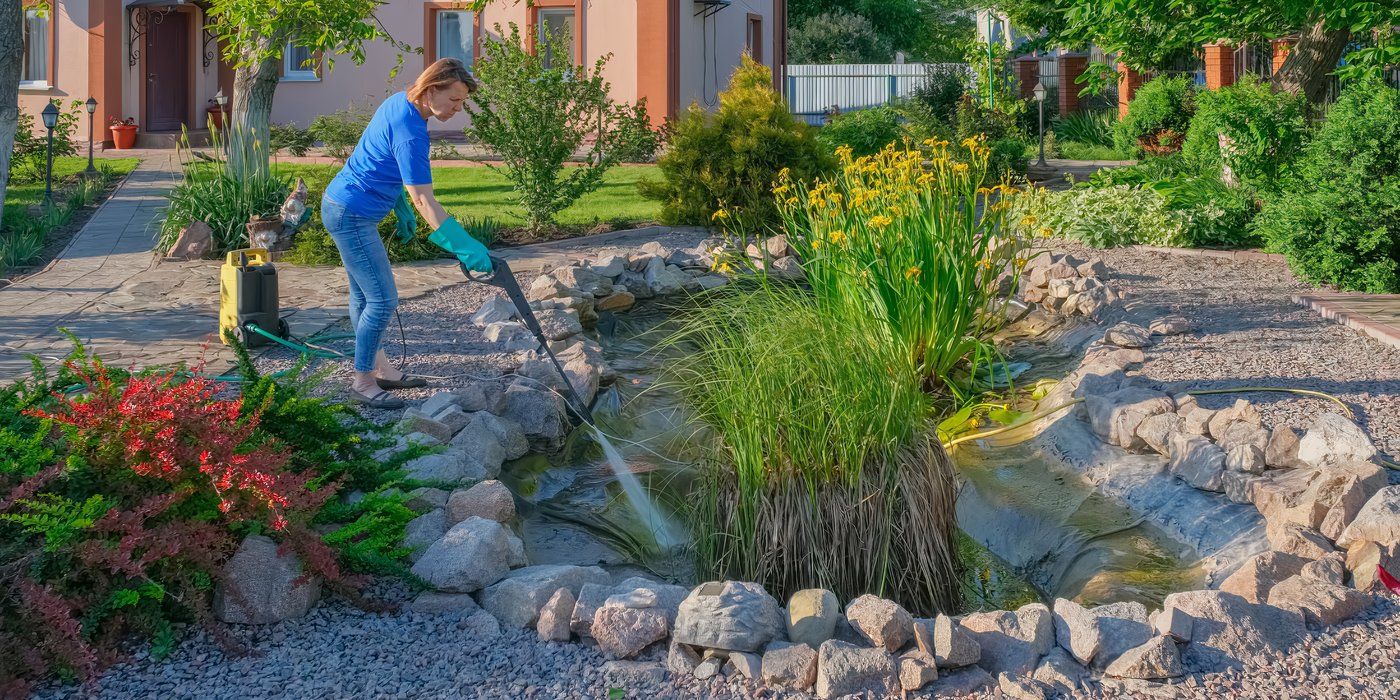 Build Mini Pond Ideas and Fill Them With Plants