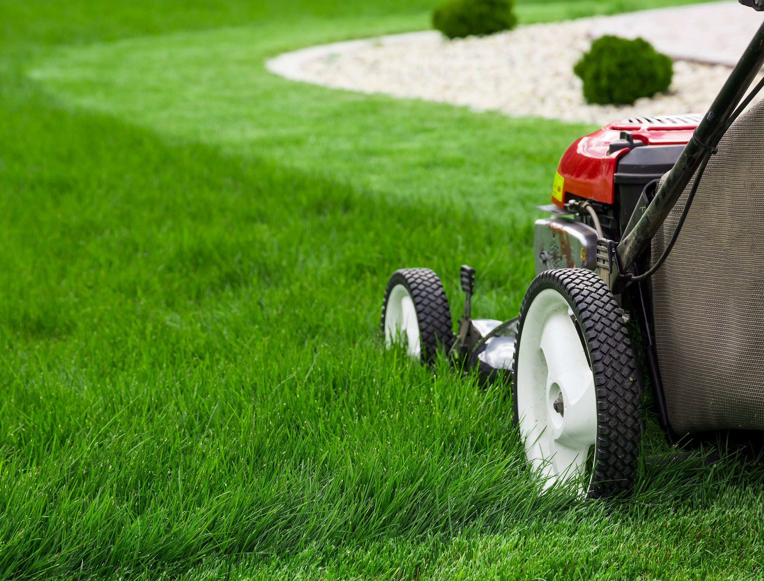 Find the Best Toro Lawnmower For Your Yard