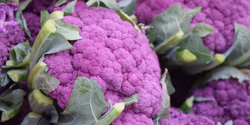 The Rise of Purple Vegetables for Health and Beauty