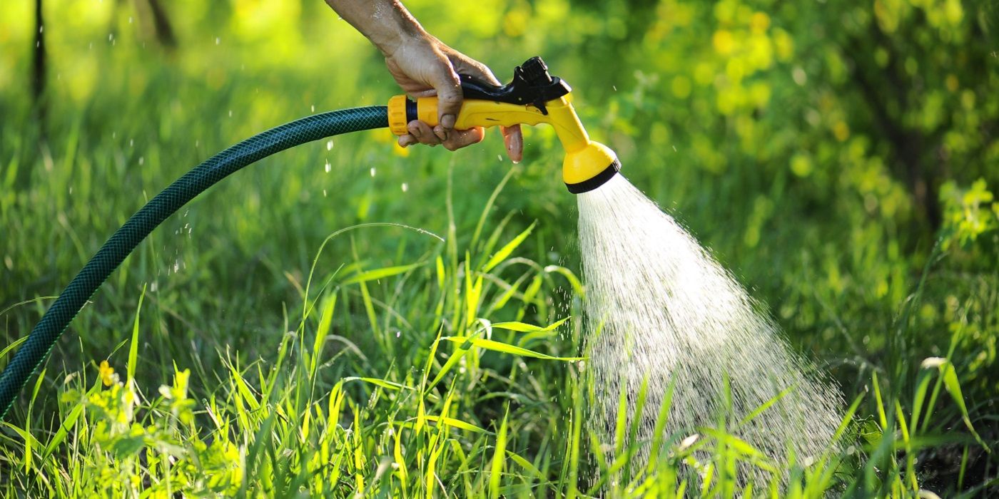 Essential Tips for Effective Grass Watering