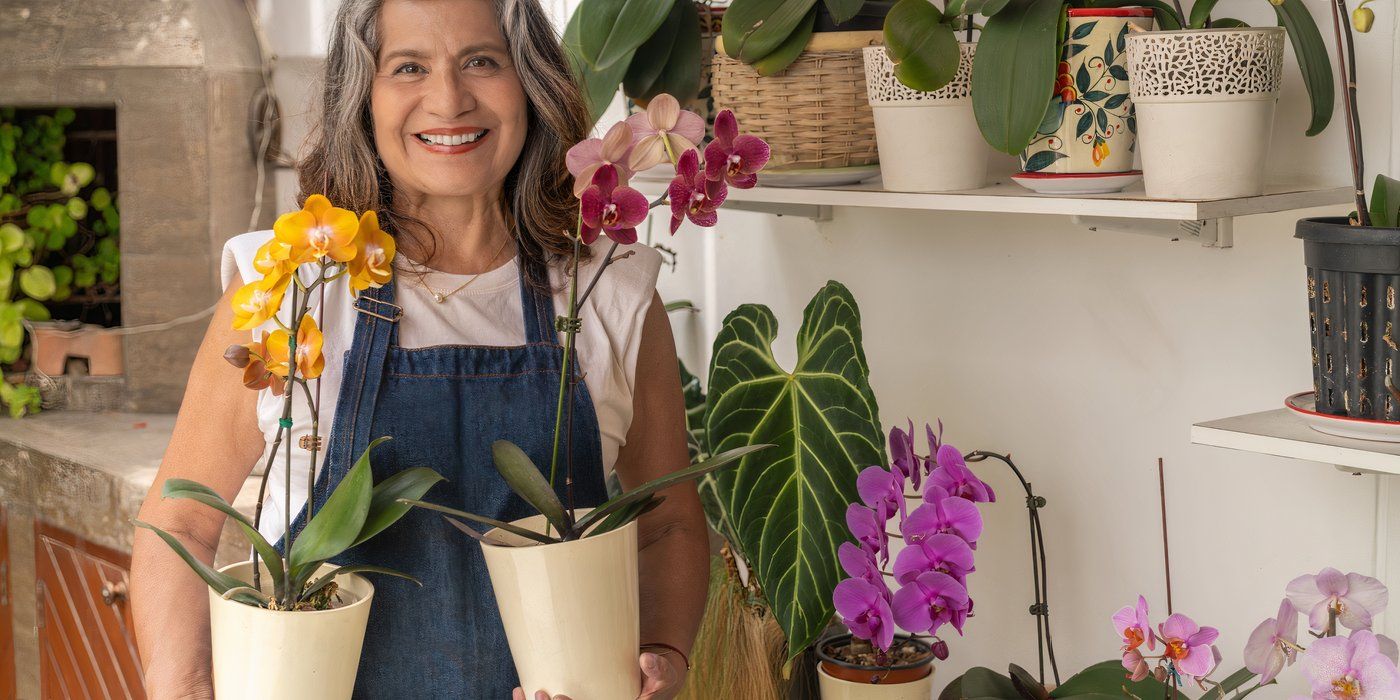 Learn How To Care for Orchids From an Expert