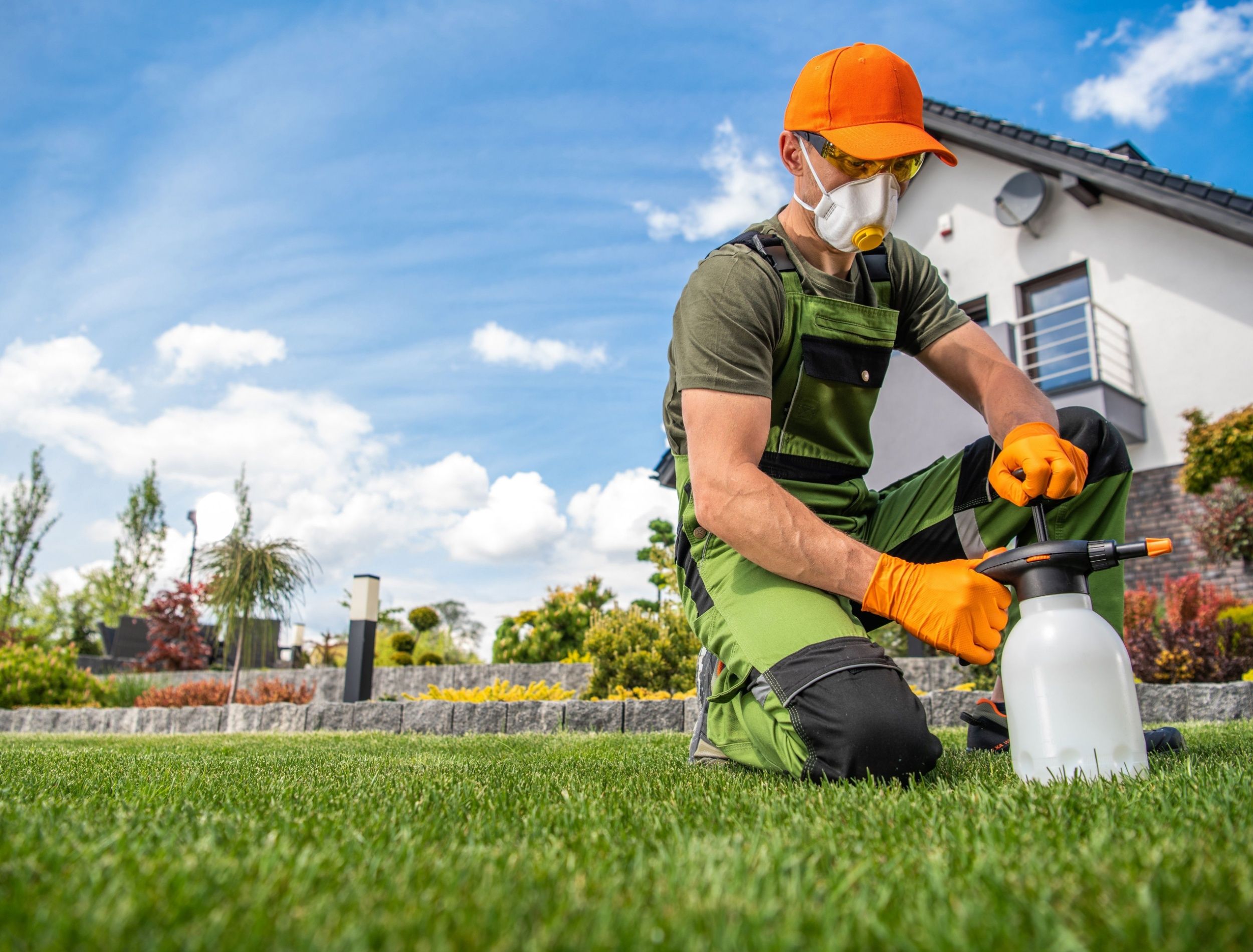 Pest Control Scam: Use These 6 Tips To Avoid Lawn Care Scams