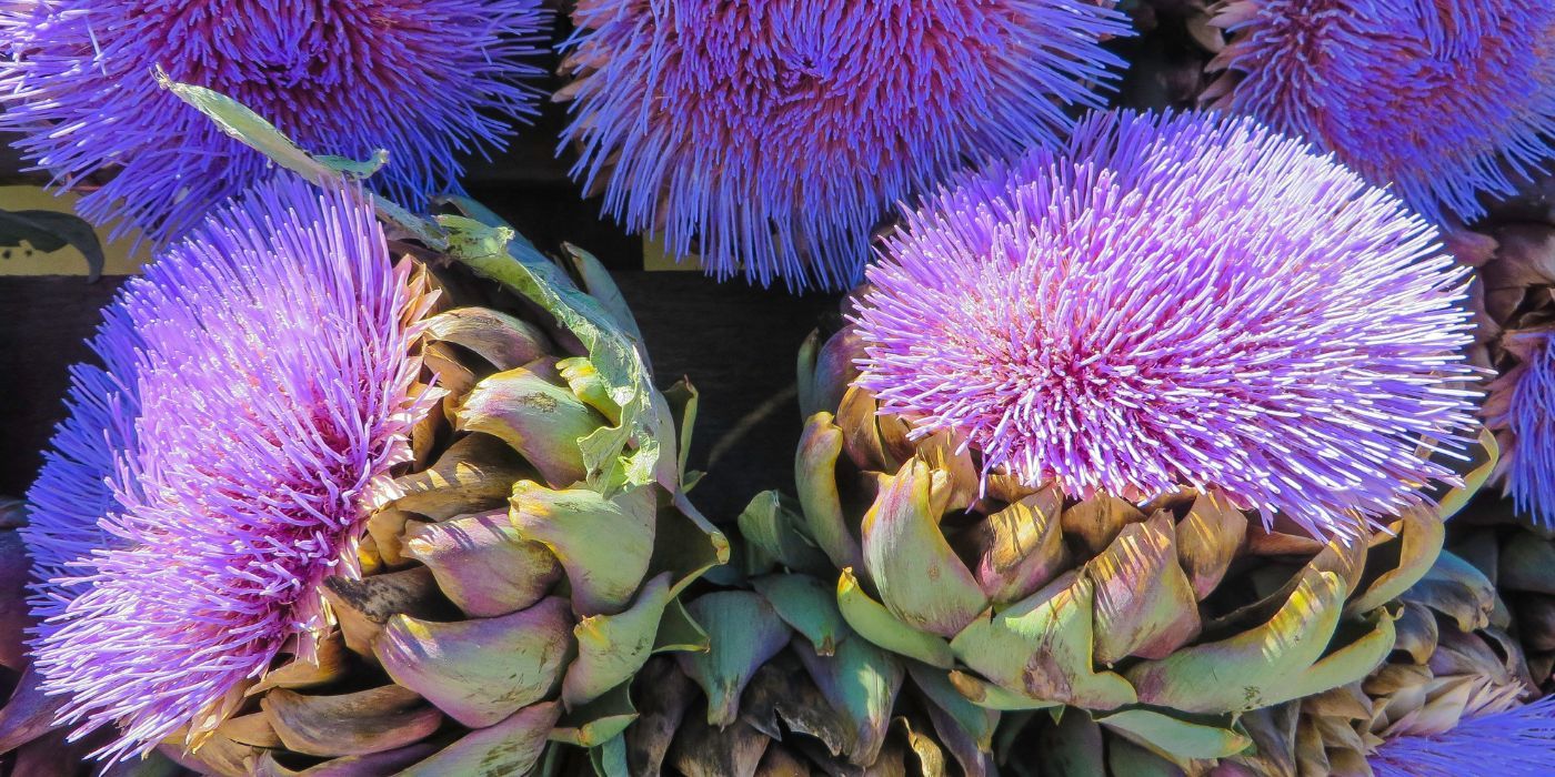 Wedding Flowers: 5 Fruits and Veggies to Add to Floral Designs