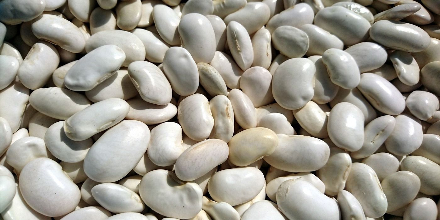 A Comprehensive Guide to Drying Garden Beans