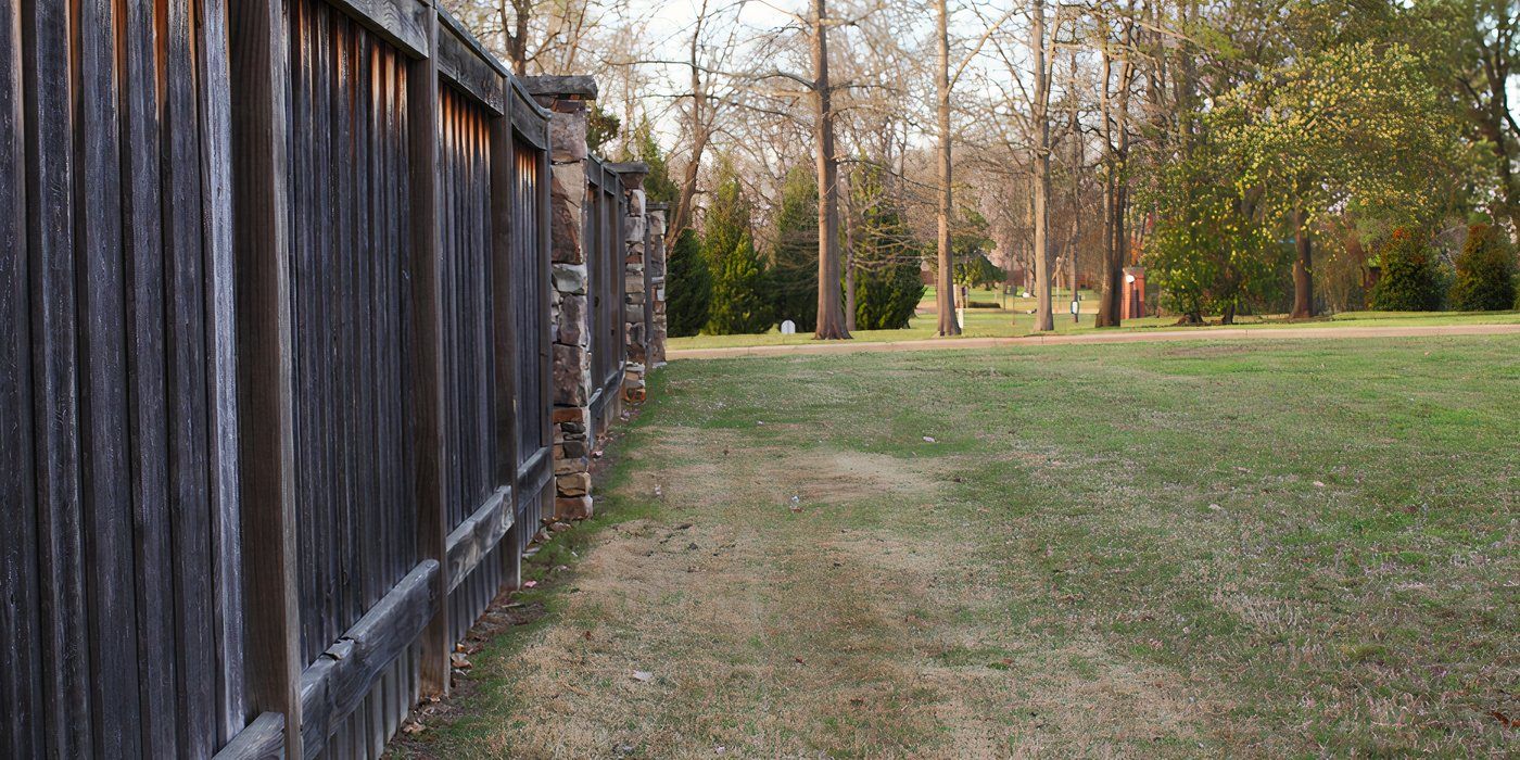 A Black Fence Will Transform Your Yard or Garden