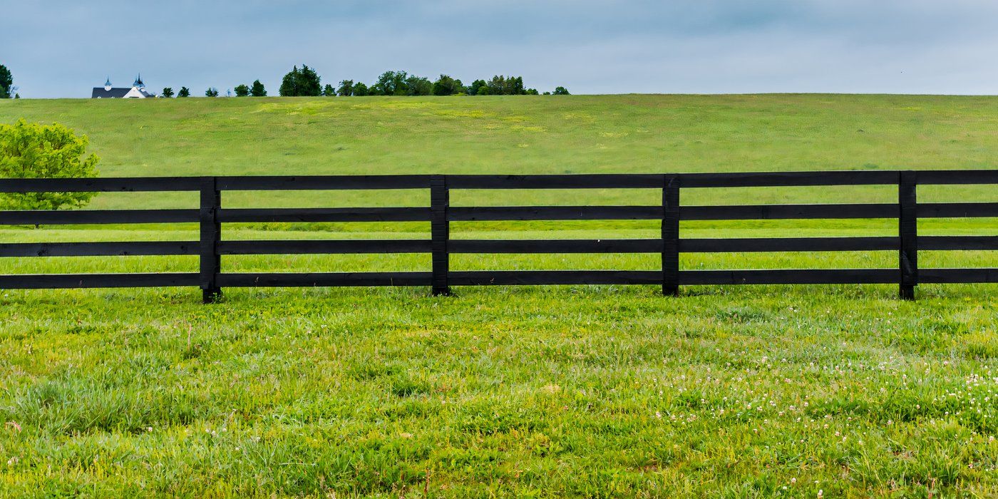 A Black Fence Will Transform Your Yard or Garden