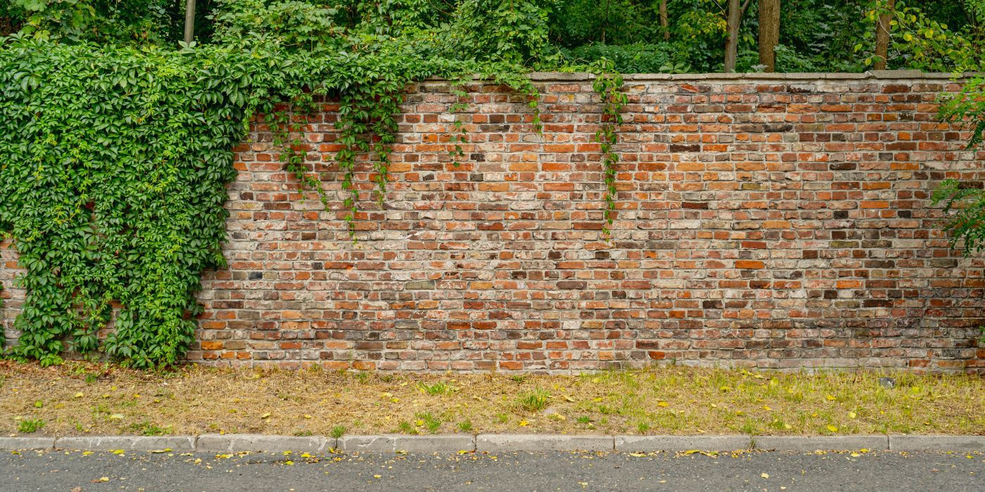 3 Backyard Ideas to Soundproof Your Outdoor Space