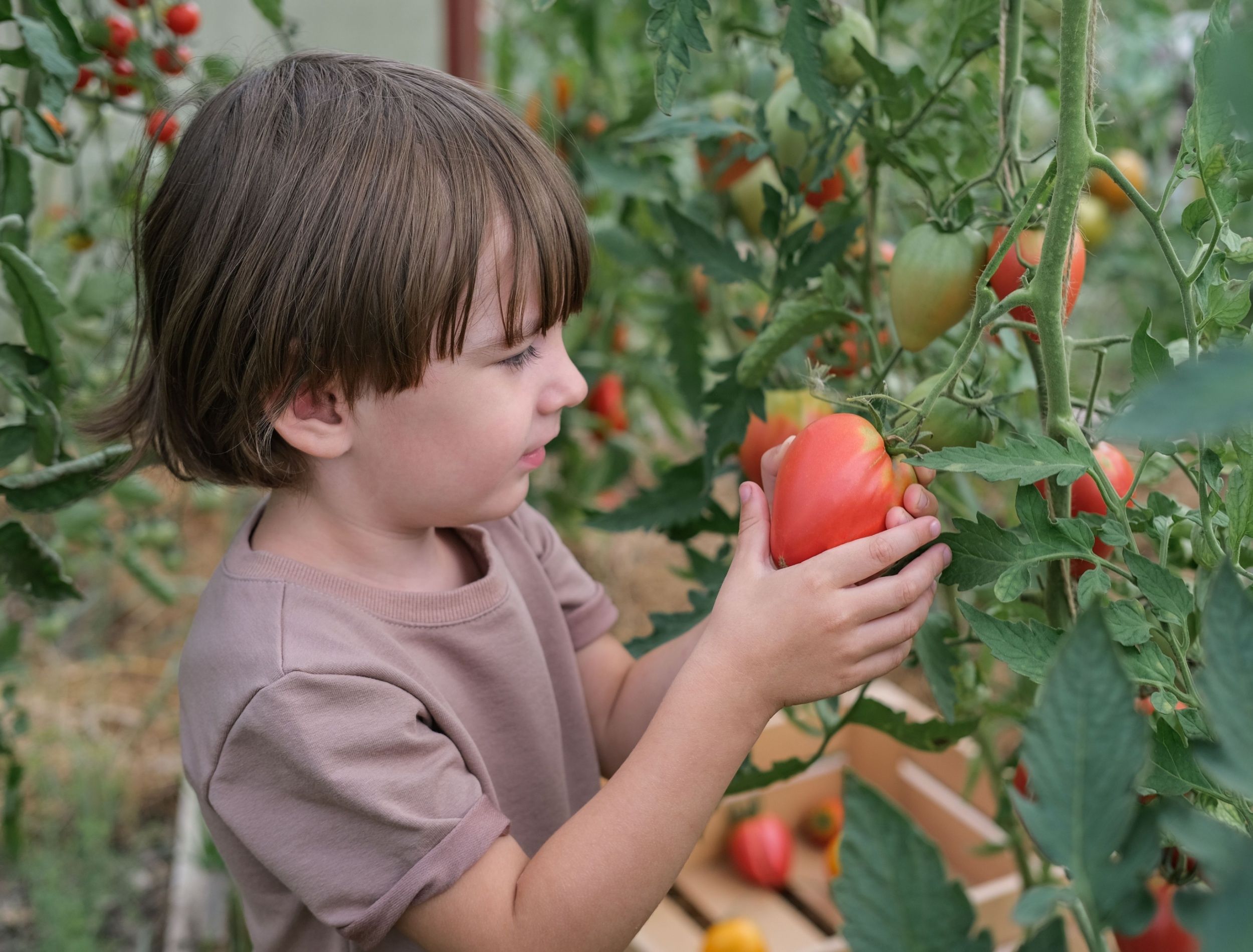 Designing a Sensory Garden for Kids: A Complete Guide