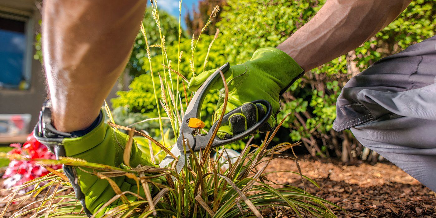 Garden Prep: Set Your Fall Garden up for Success With 6 Projects