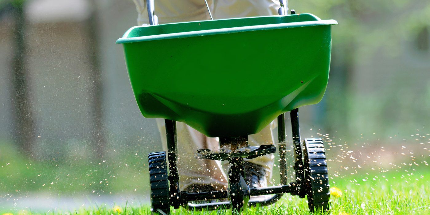 Expert Tips to Fertilize Your Fall Lawn