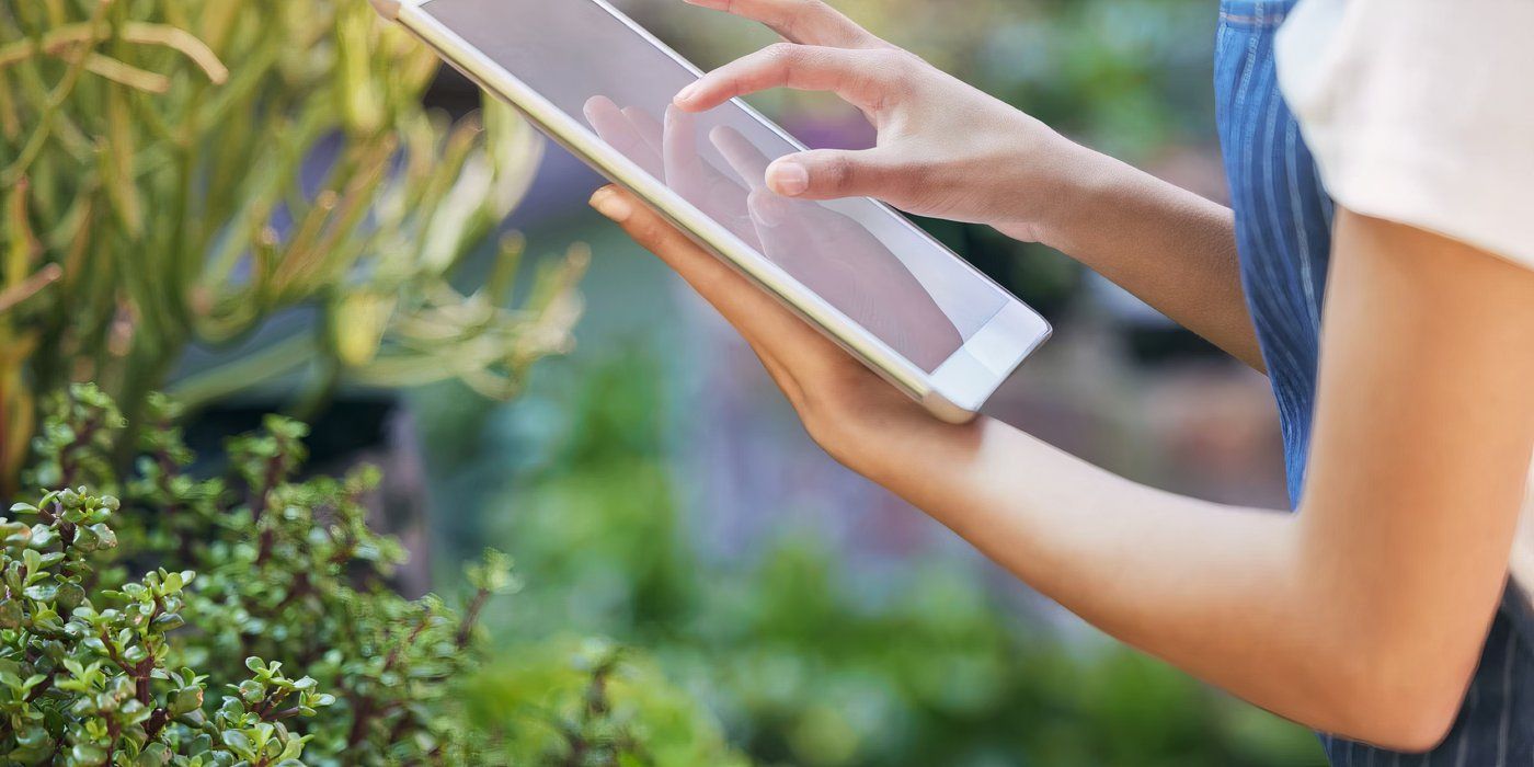 Designing Sustainable Spaces: Key Permaculture Garden Principles