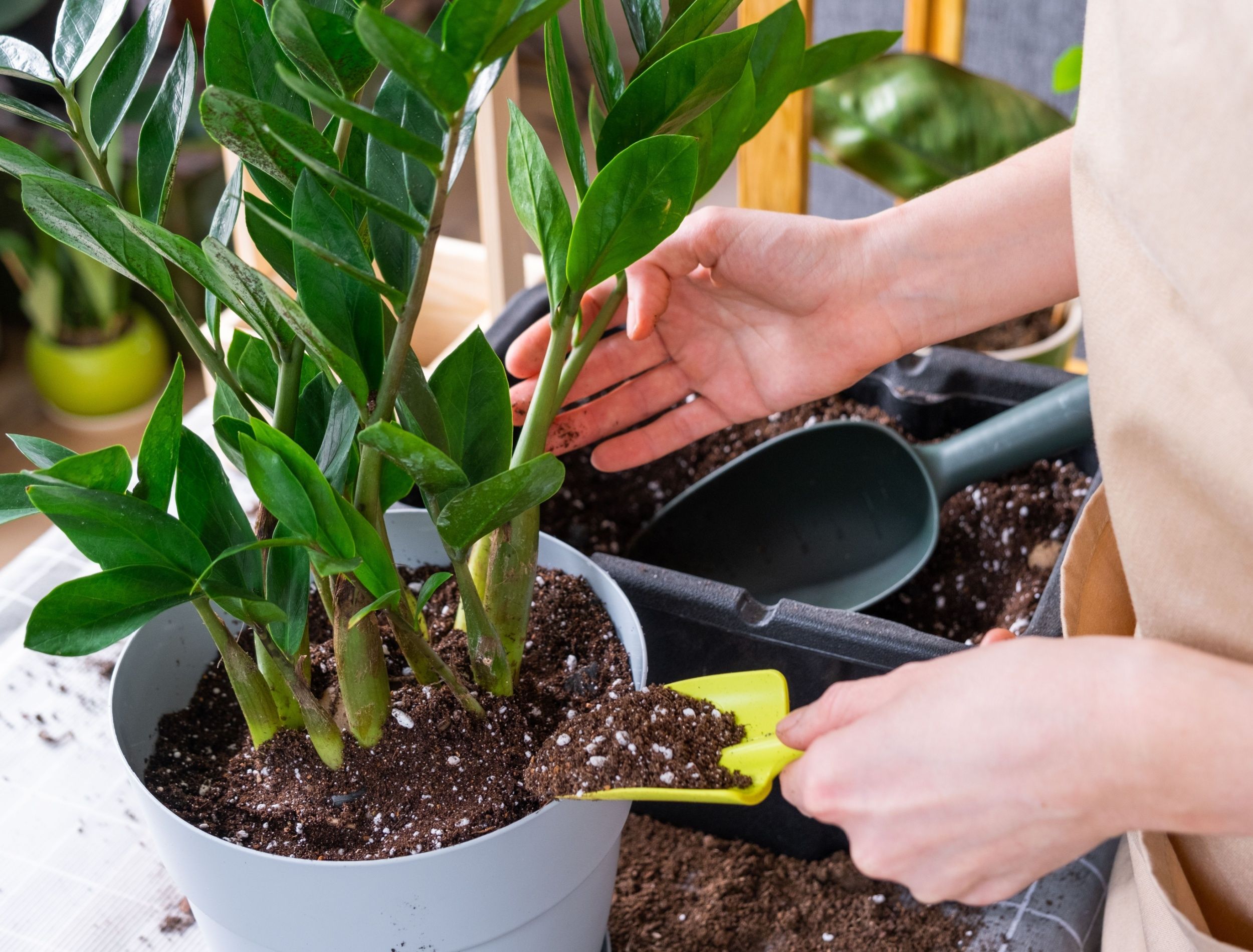 Gardening | BackyardBoss