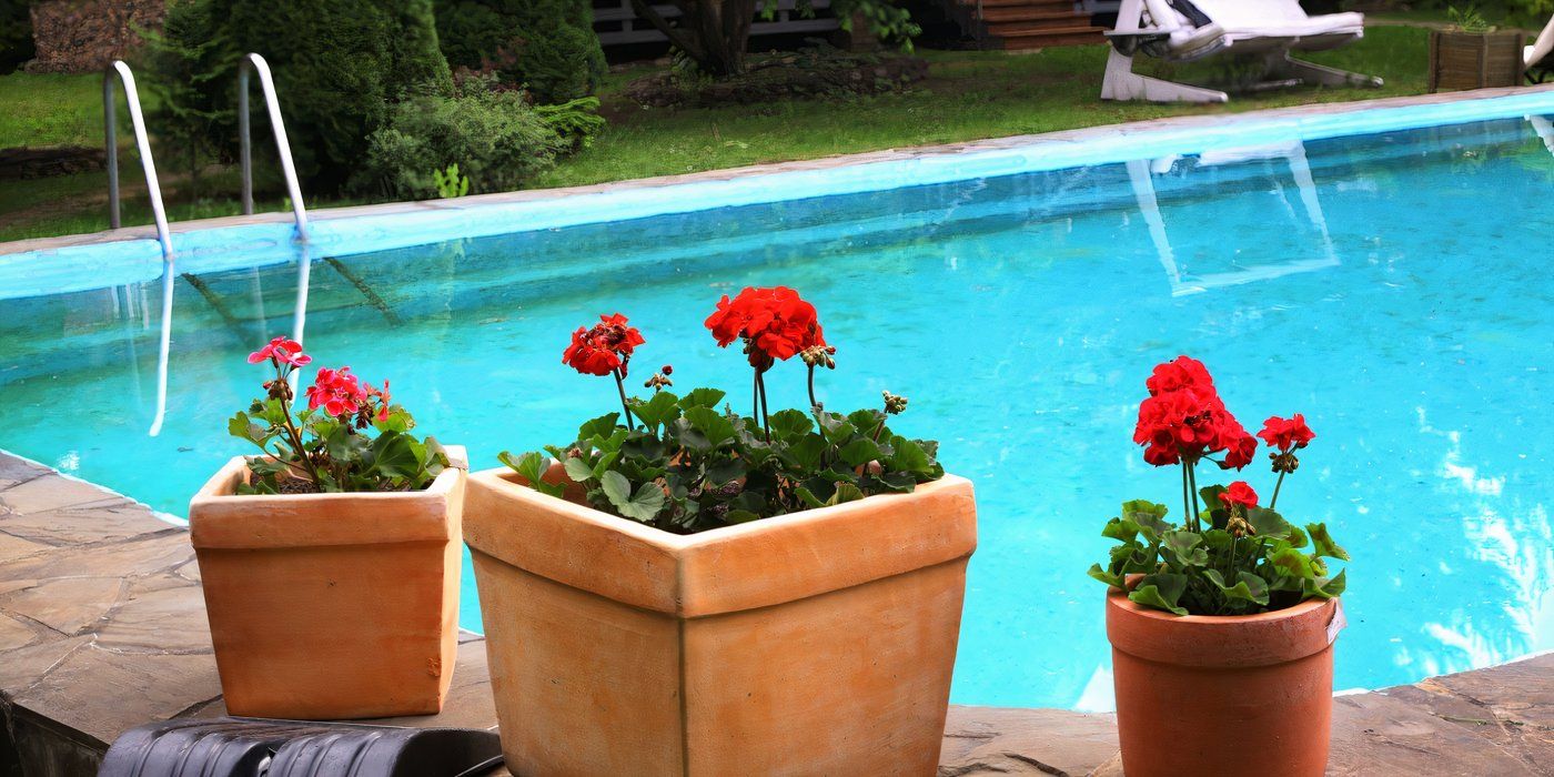Use Potted Plants Around Pool Areas