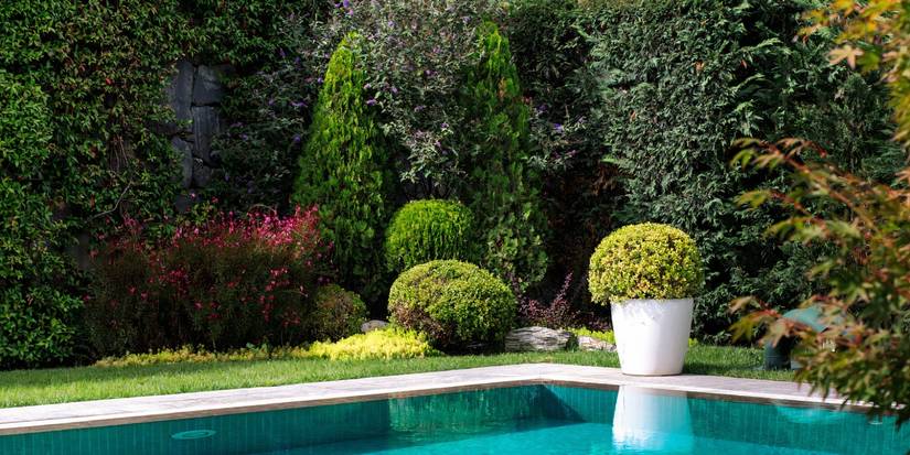 Top Tips For Water-Loving Plants and Durable Materials