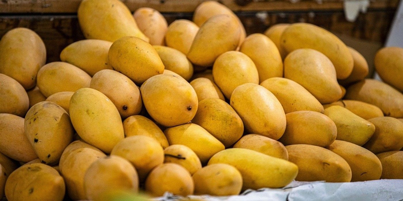 5 Fruits That are in Season During the Summer