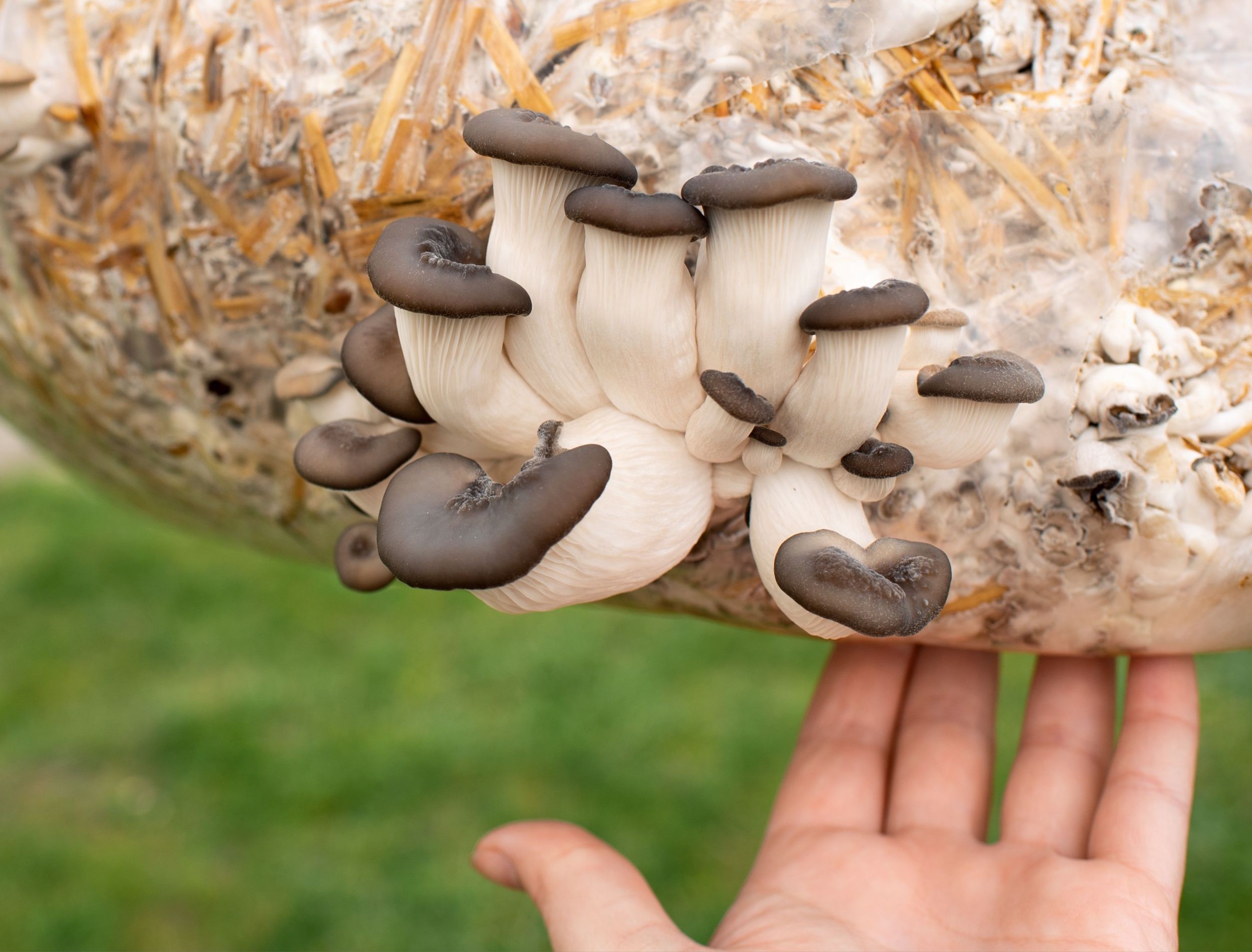 7 Best Materials For the Bottom of Your Fire Pit