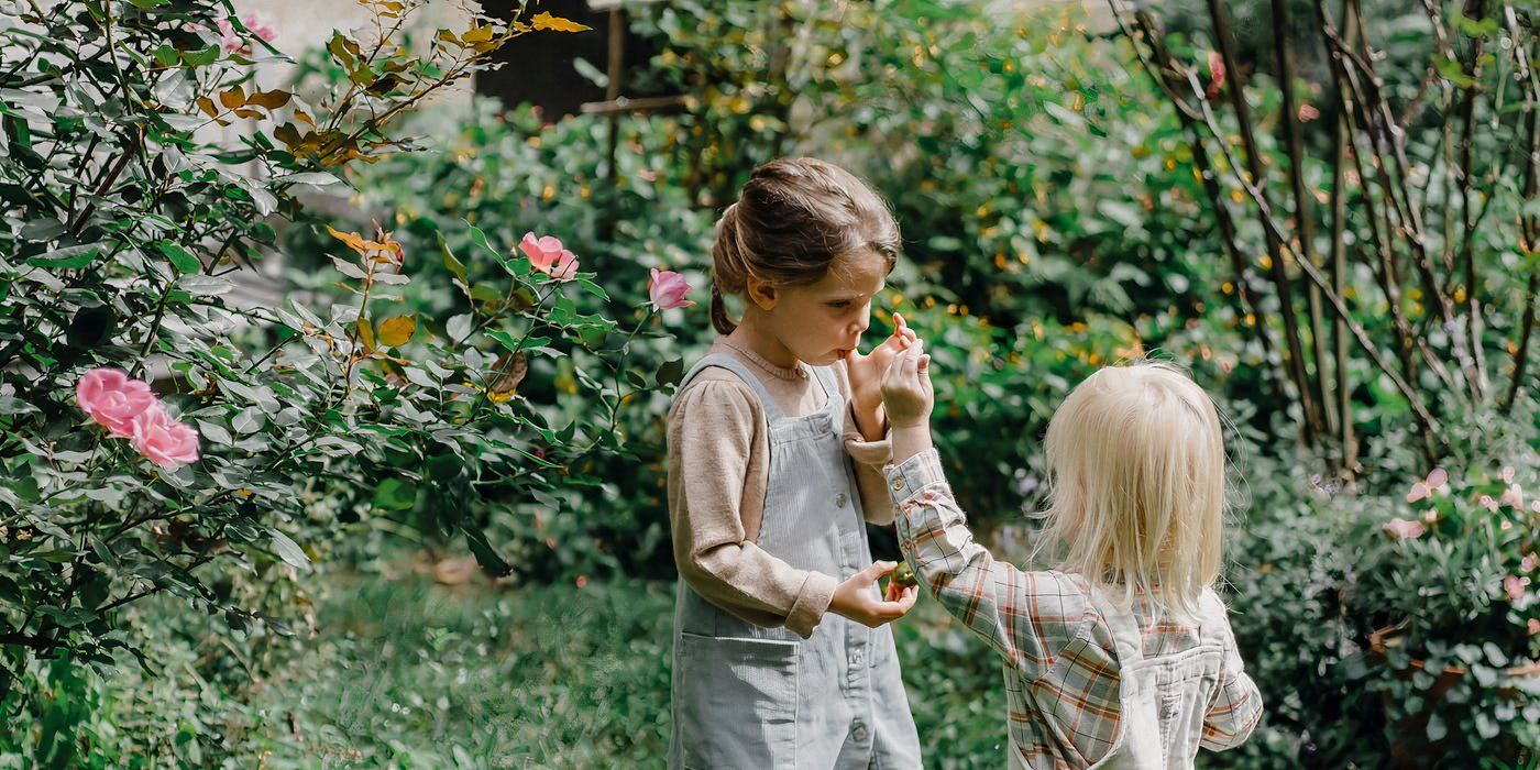 Designing a Sensory Garden for Kids: A Complete Guide