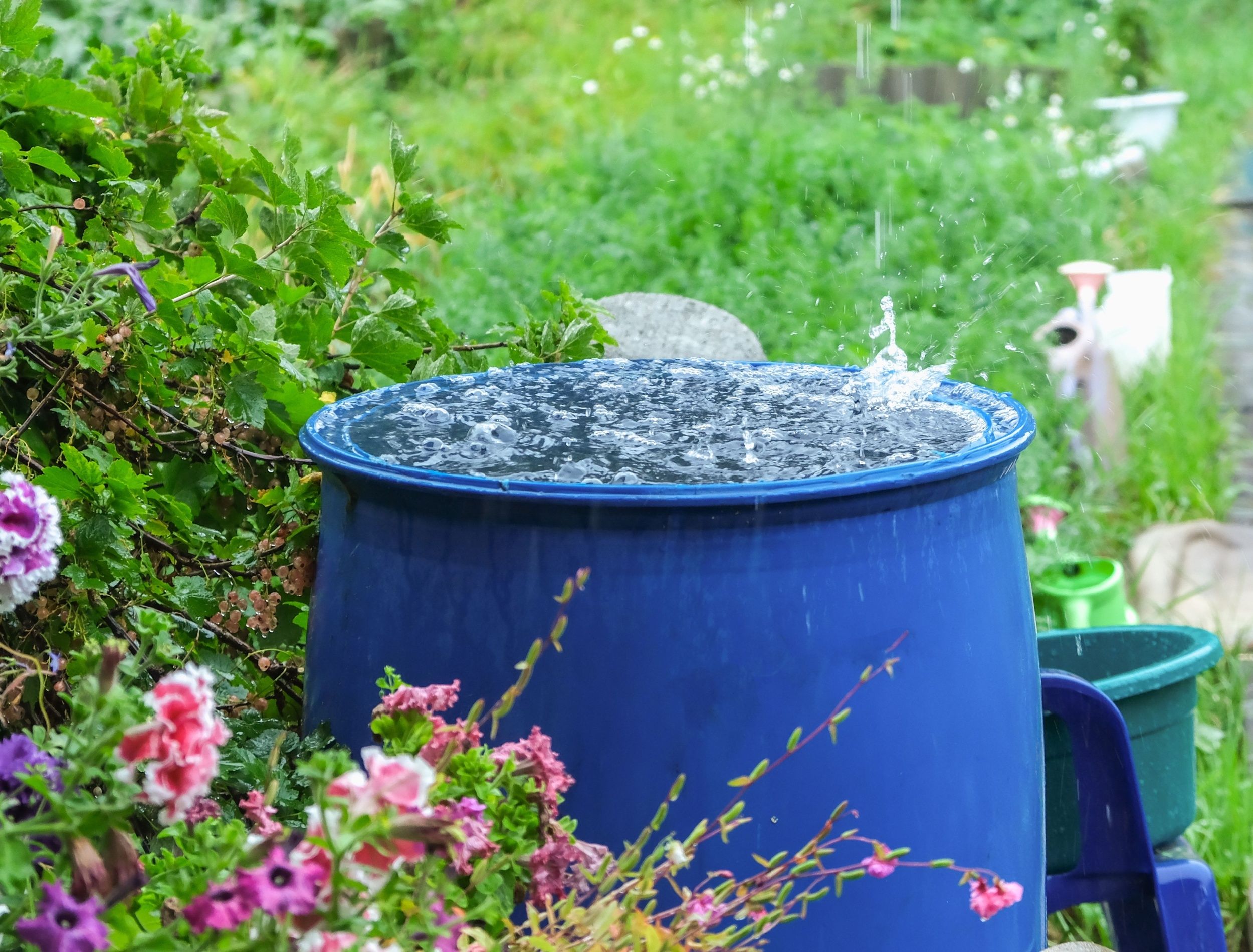 Use Baking Soda to Kill Weeds: 5 Steps
