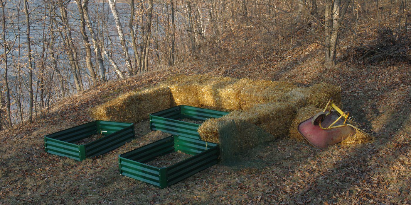 Budget-Friendly DIY Raised Garden Beds to Transform Your Space