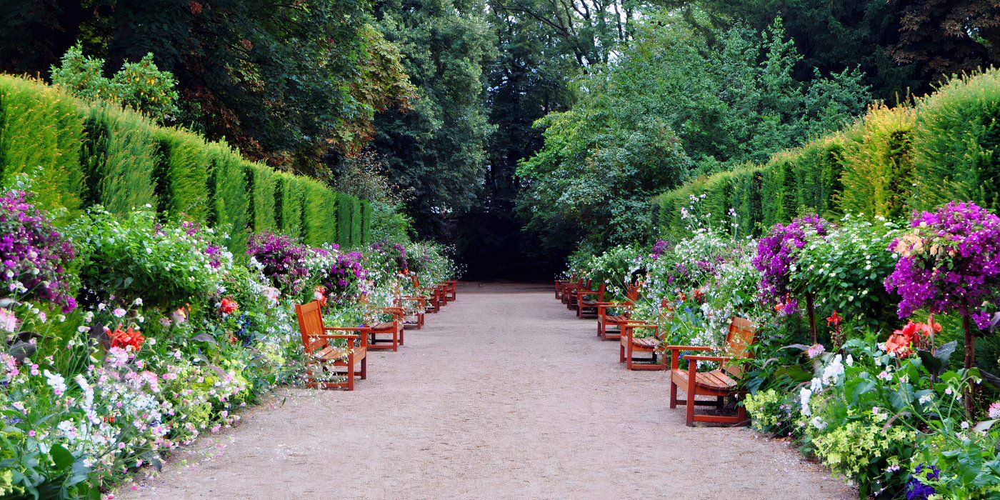 Backyard Landscaping: Create a Beautifully Symmetrical Space