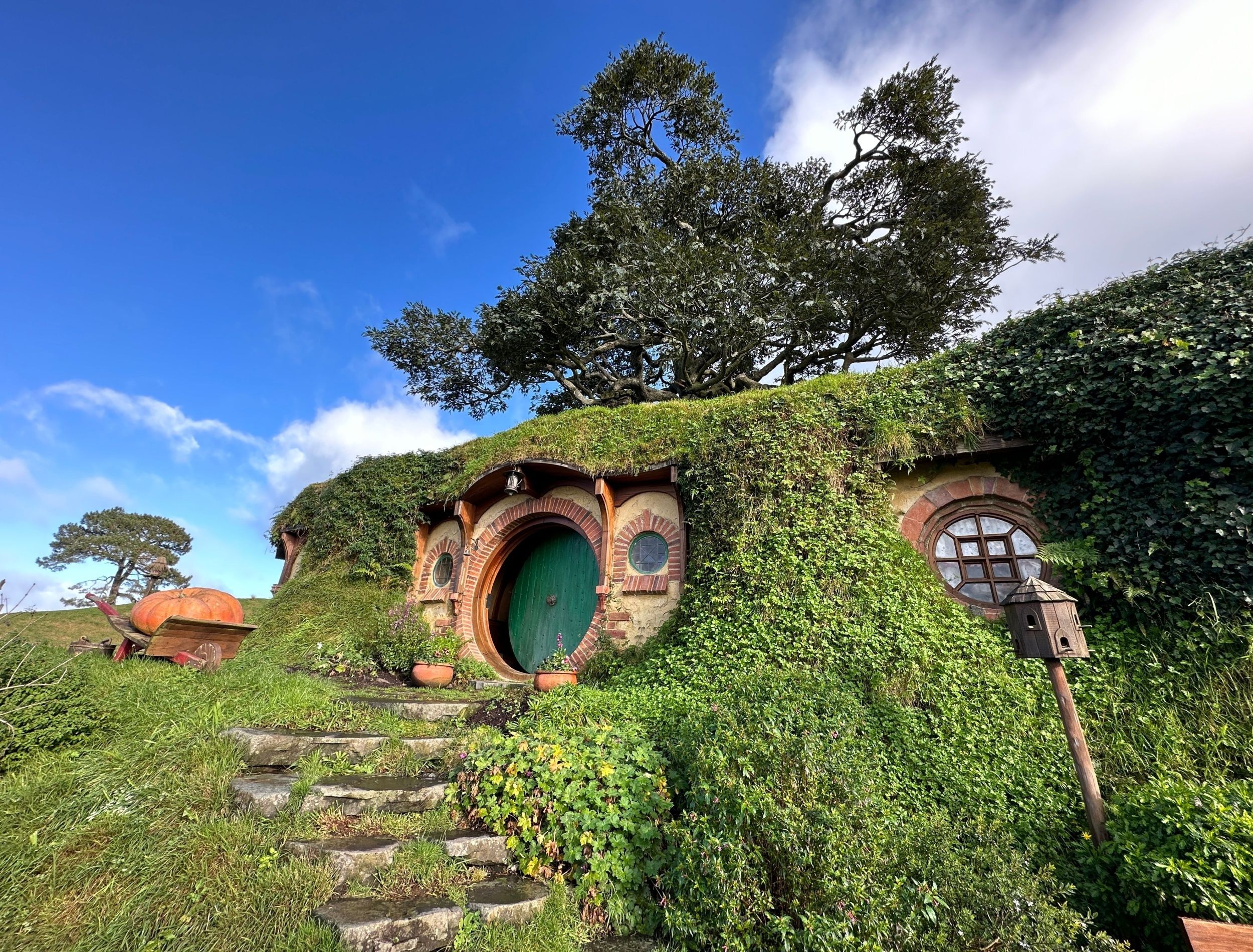 Middle Earth Trees: Bring the Essence of the Rings of Power to Your Space